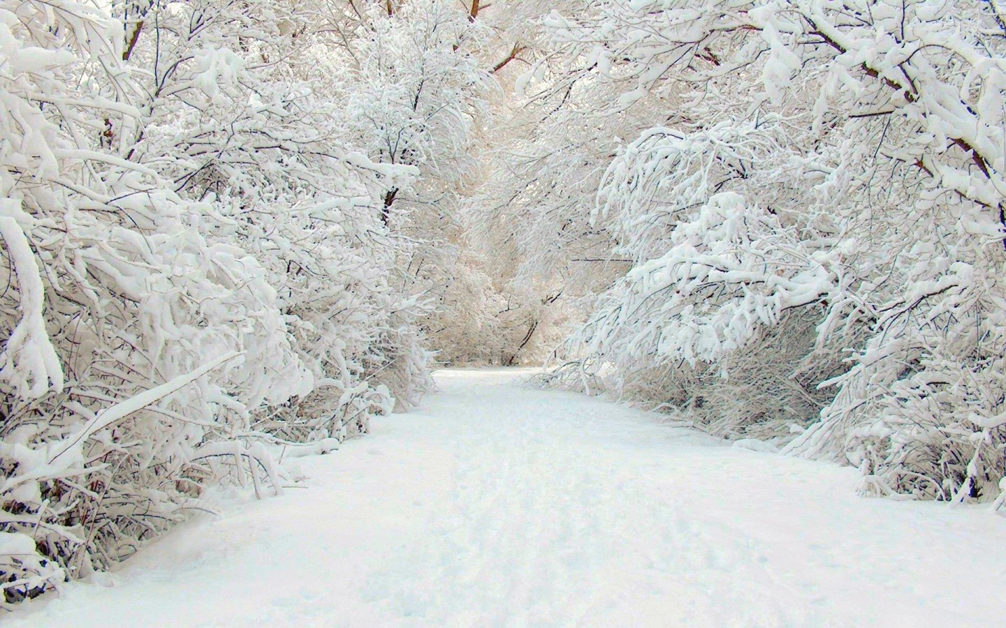 1440x900 Winter HD Wallpapers - Wallpaper Cave