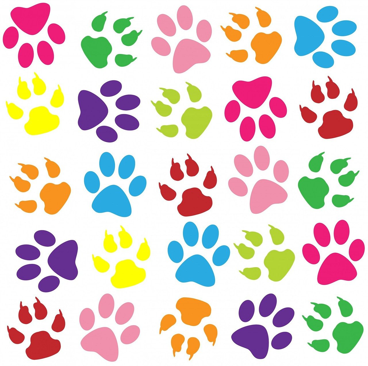 Rainbow Paw Prints Wallpapers - Wallpaper Cave