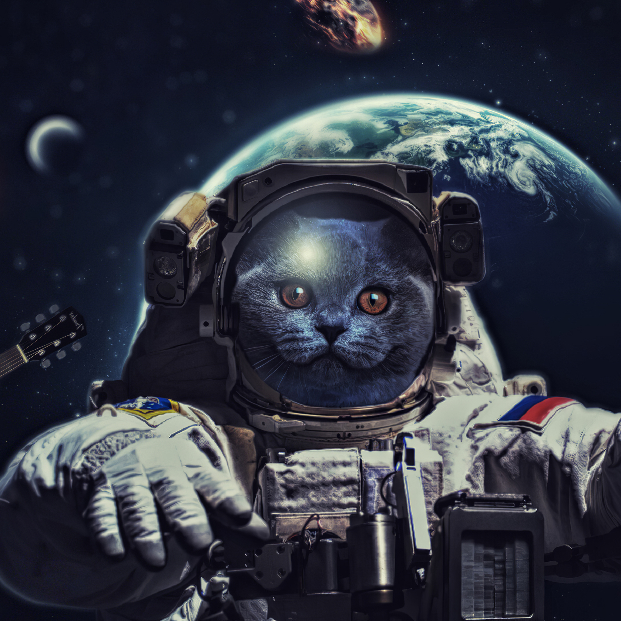 Cat Space 4k Wallpapers - Wallpaper Cave