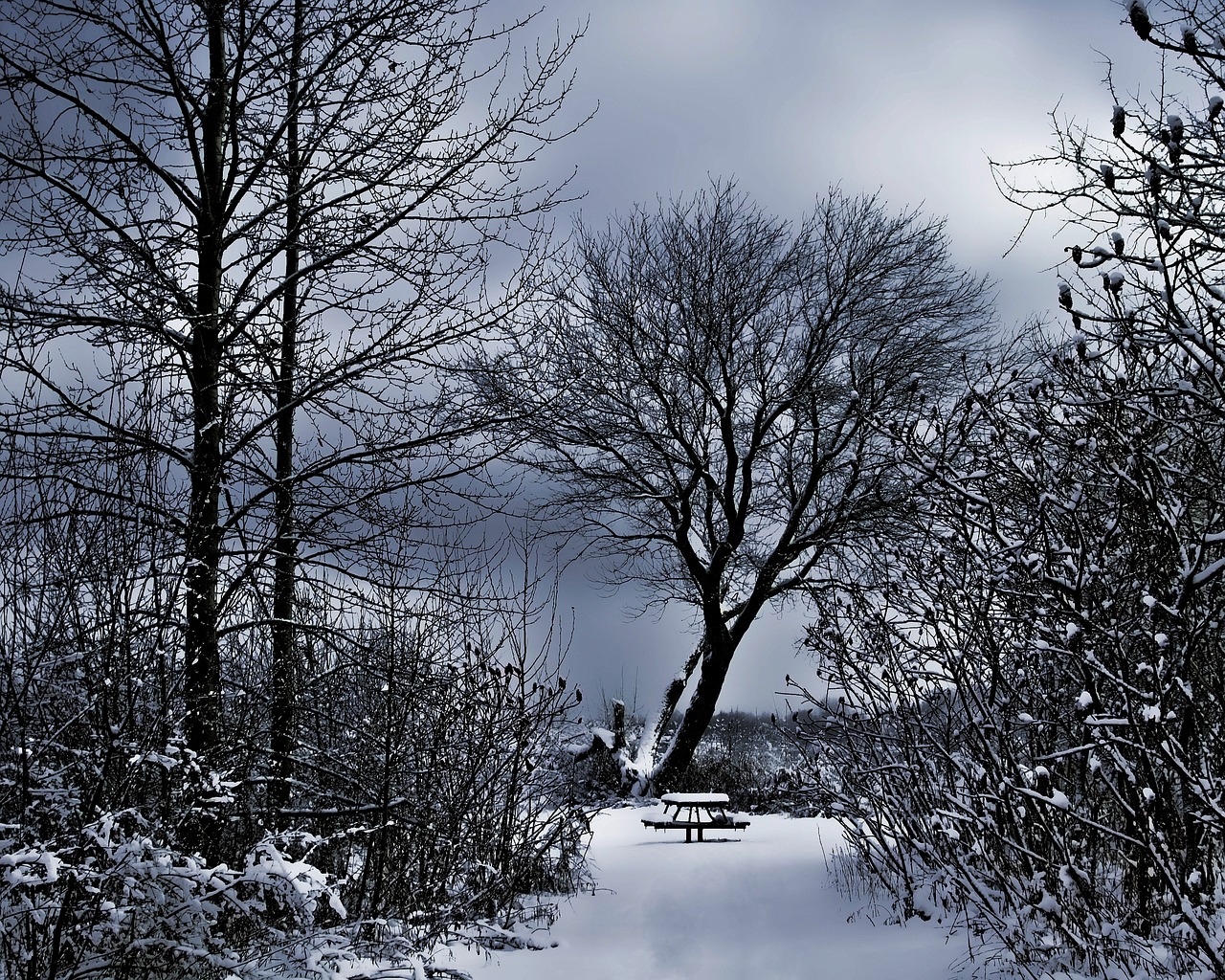 Snowy Bench Wallpapers - Wallpaper Cave