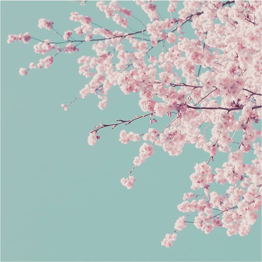 Japanese Spring Art Wallpapers - Wallpaper Cave
