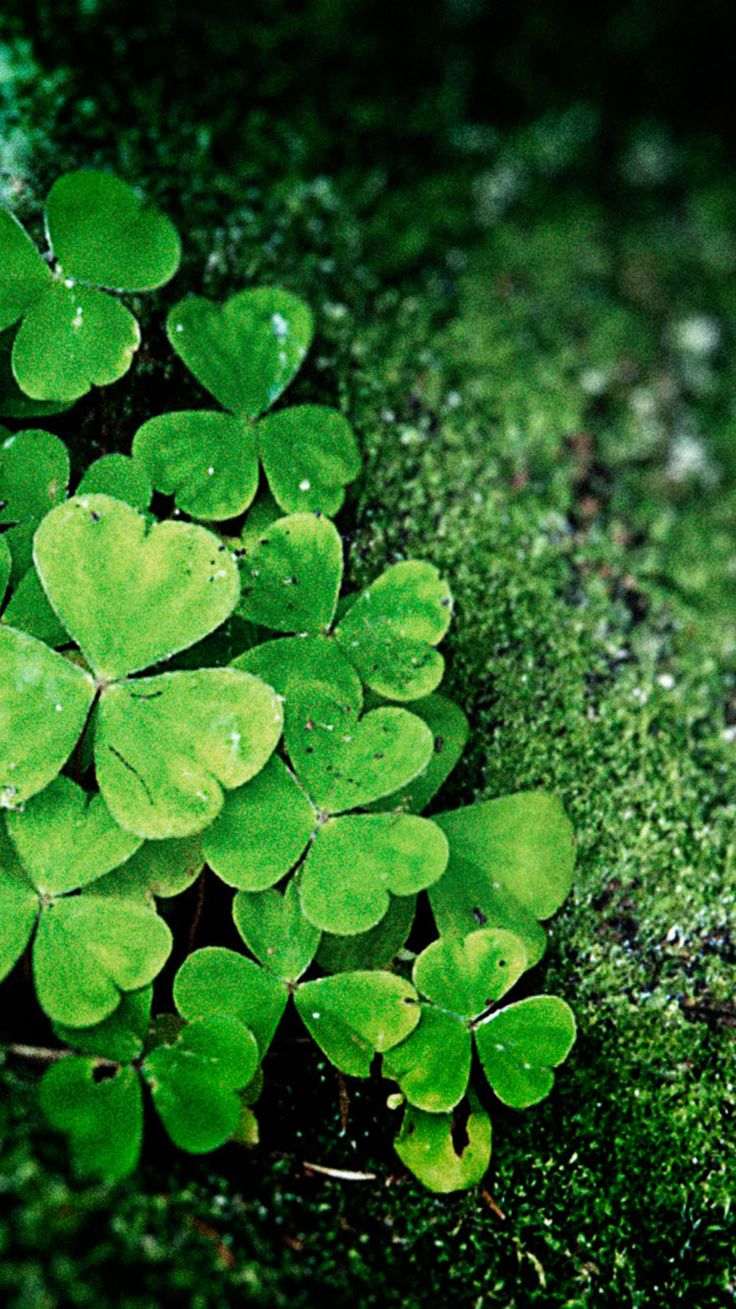 St Patrick’s Day iPhone Wallpapers - Wallpaper Cave