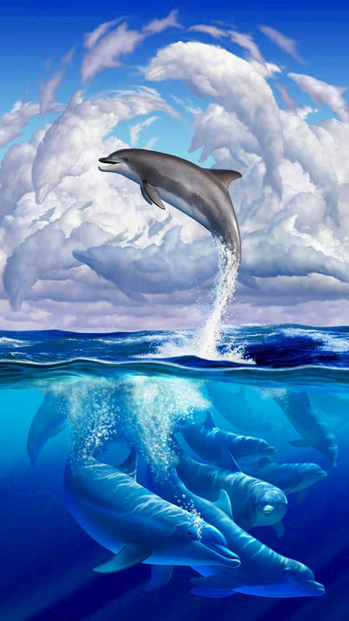 Dolphin Phone Wallpapers - Wallpaper Cave