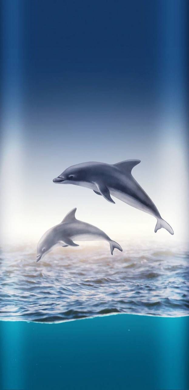 Dolphin Phone Wallpapers - Wallpaper Cave