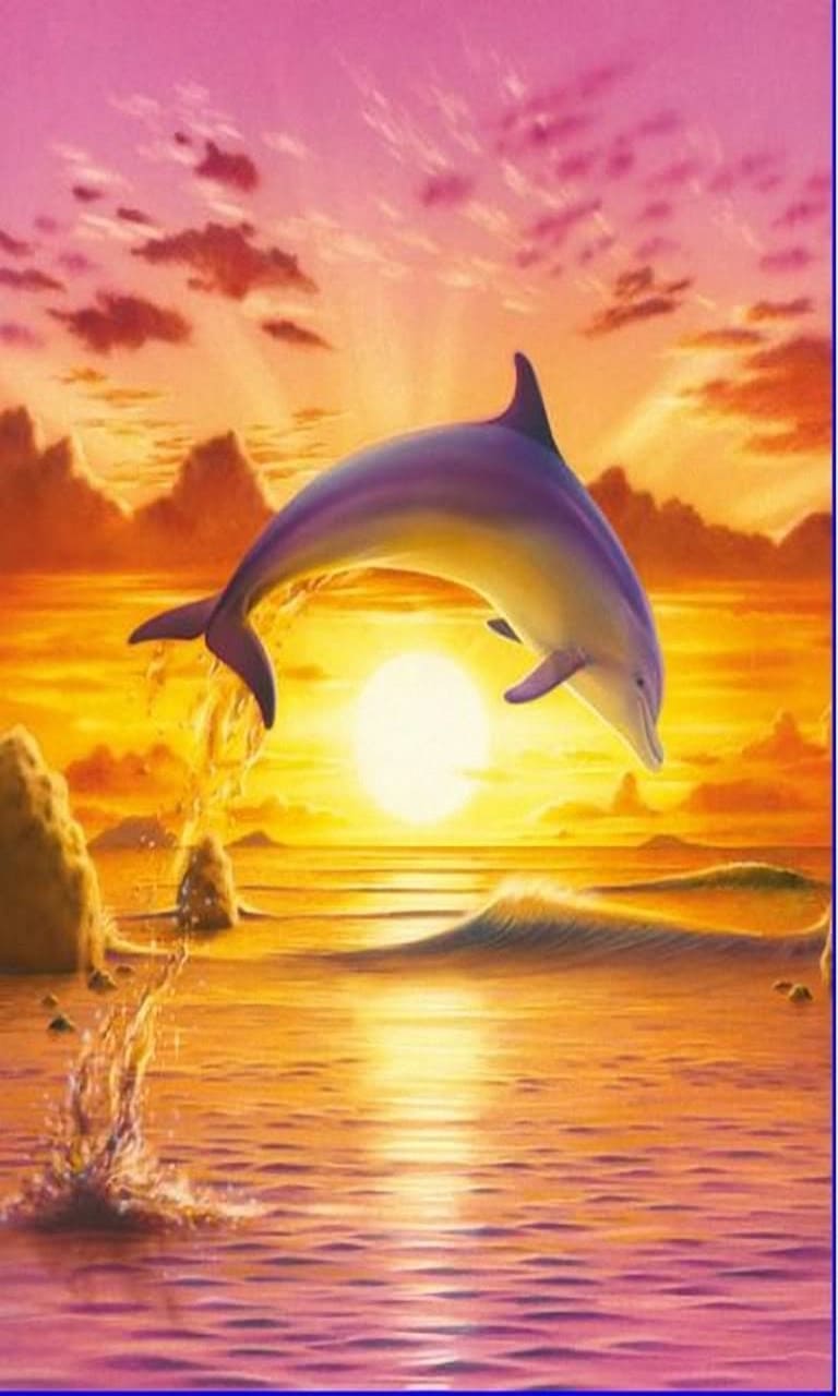 Dolphin Phone Wallpapers - Wallpaper Cave