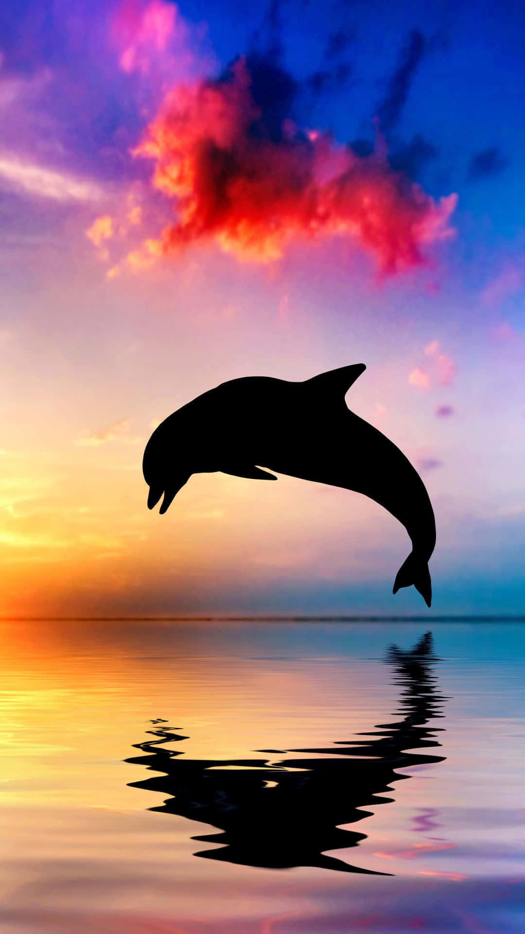 Dolphin Phone Wallpapers - Wallpaper Cave