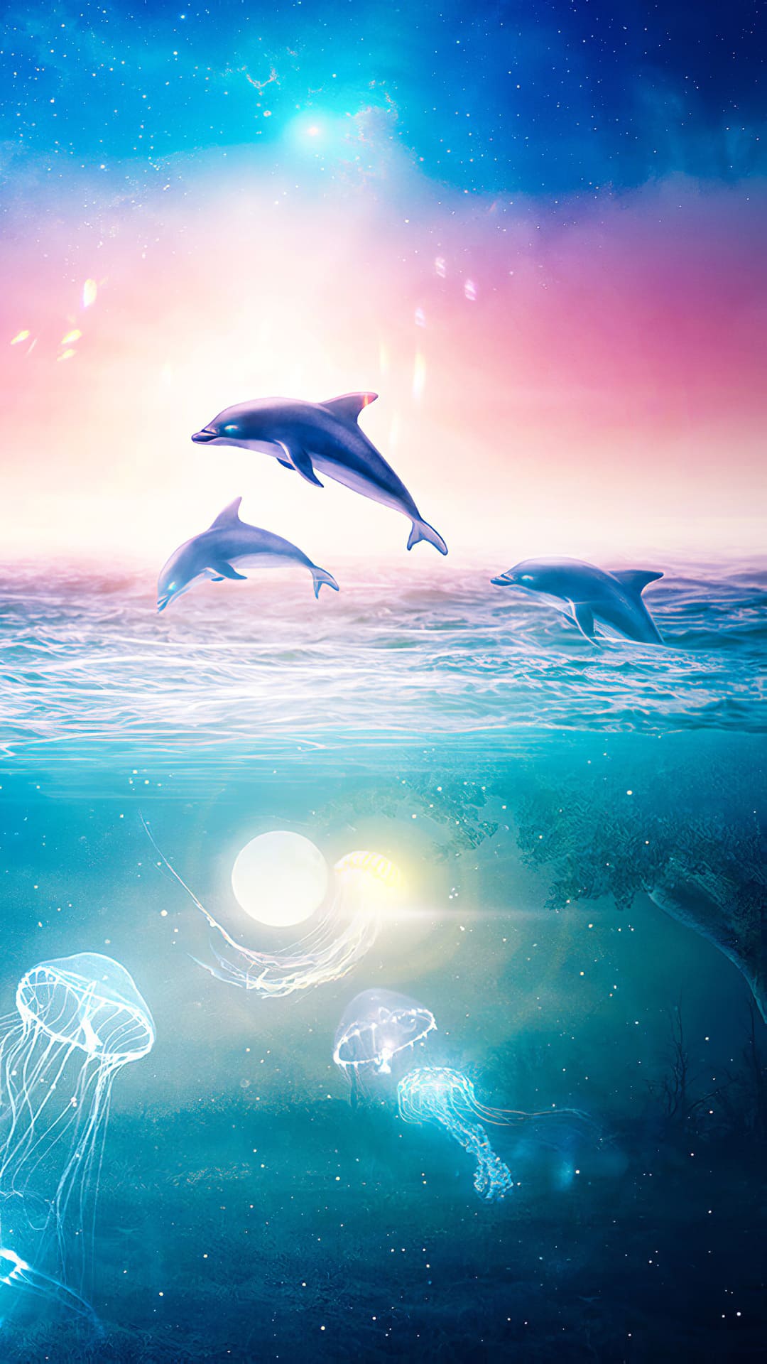 Dolphin Wallpaper Hd For Mobile Phone - Infoupdate.org