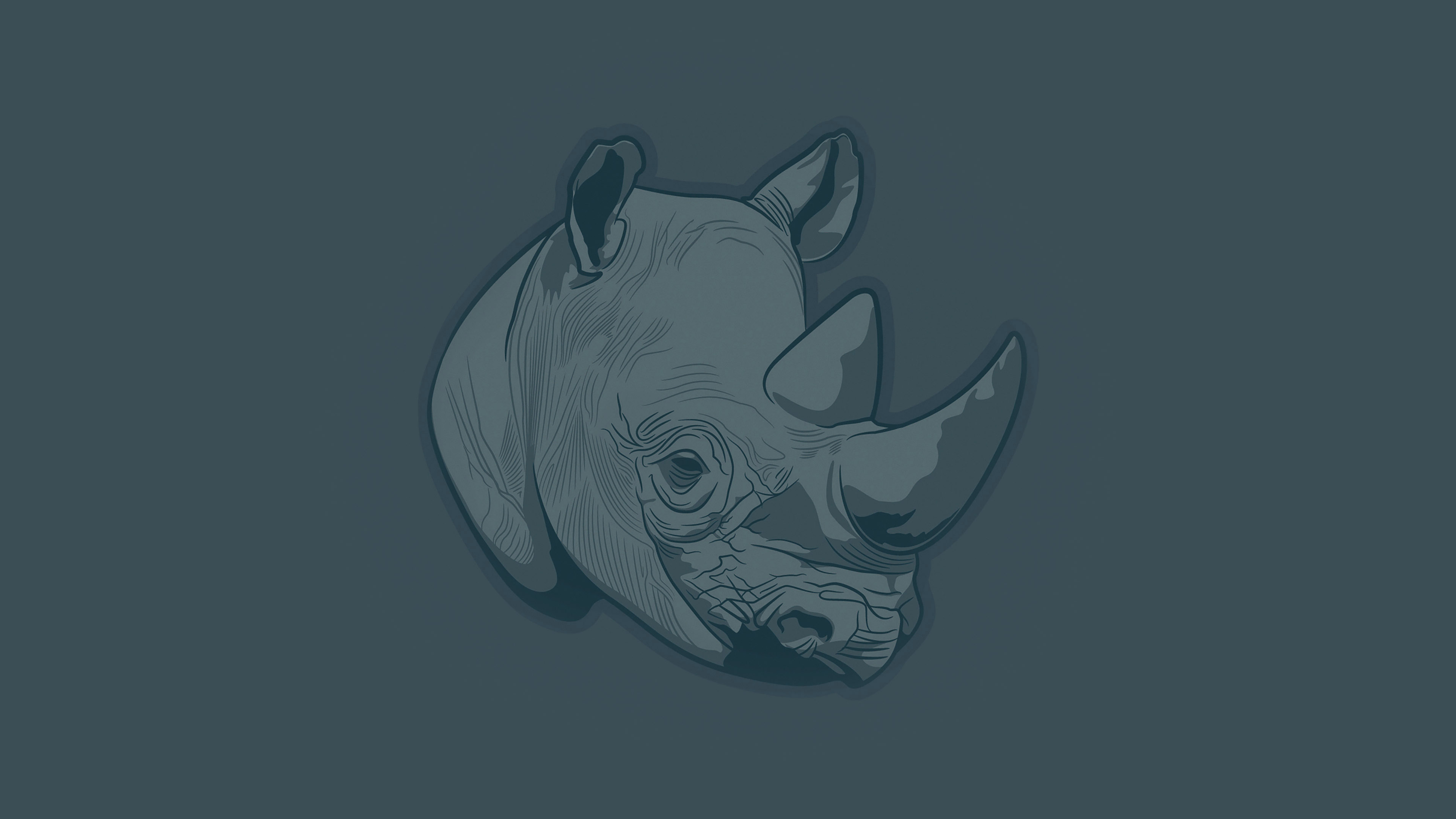 Rhino 4k Wallpapers - Wallpaper Cave