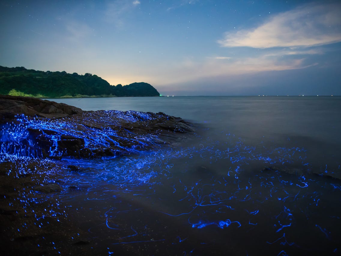 Glowing Ocean Wallpapers - Wallpaper Cave