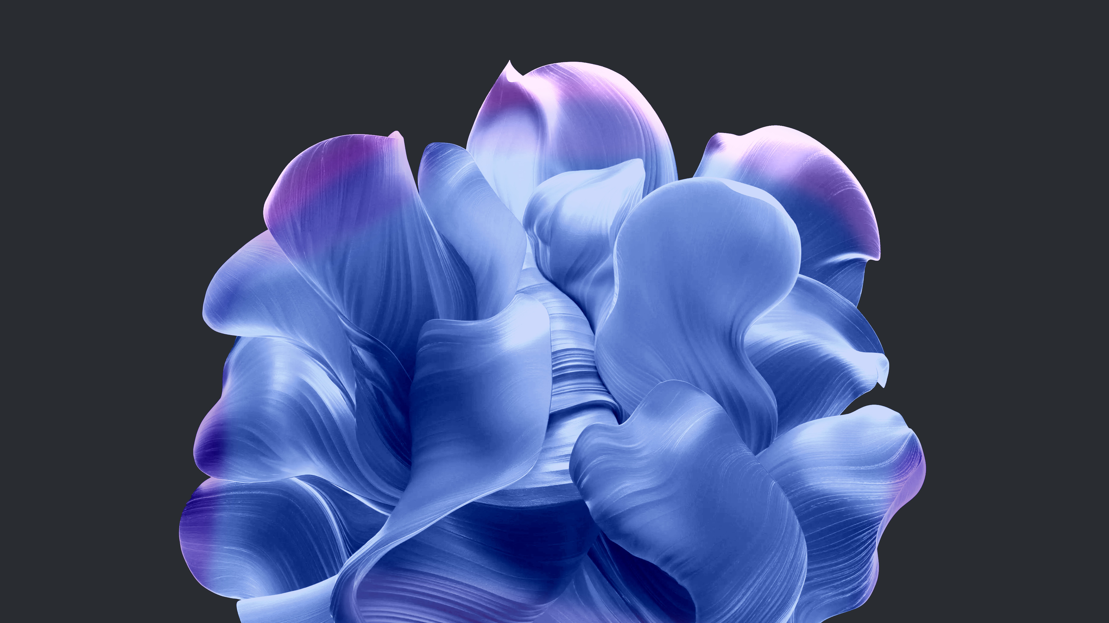 Windows 11 Bloom Wallpapers - Wallpaper Cave