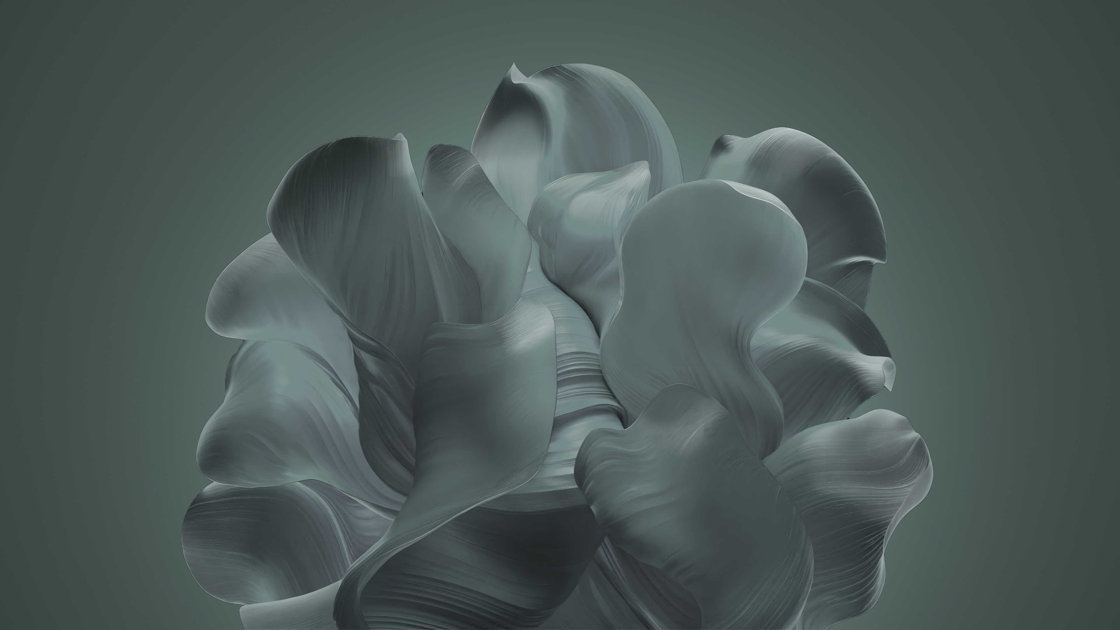 Windows 11 Bloom Wallpapers - Wallpaper Cave