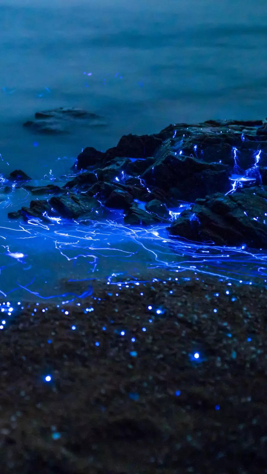 Glowing Ocean Wallpapers - Wallpaper Cave