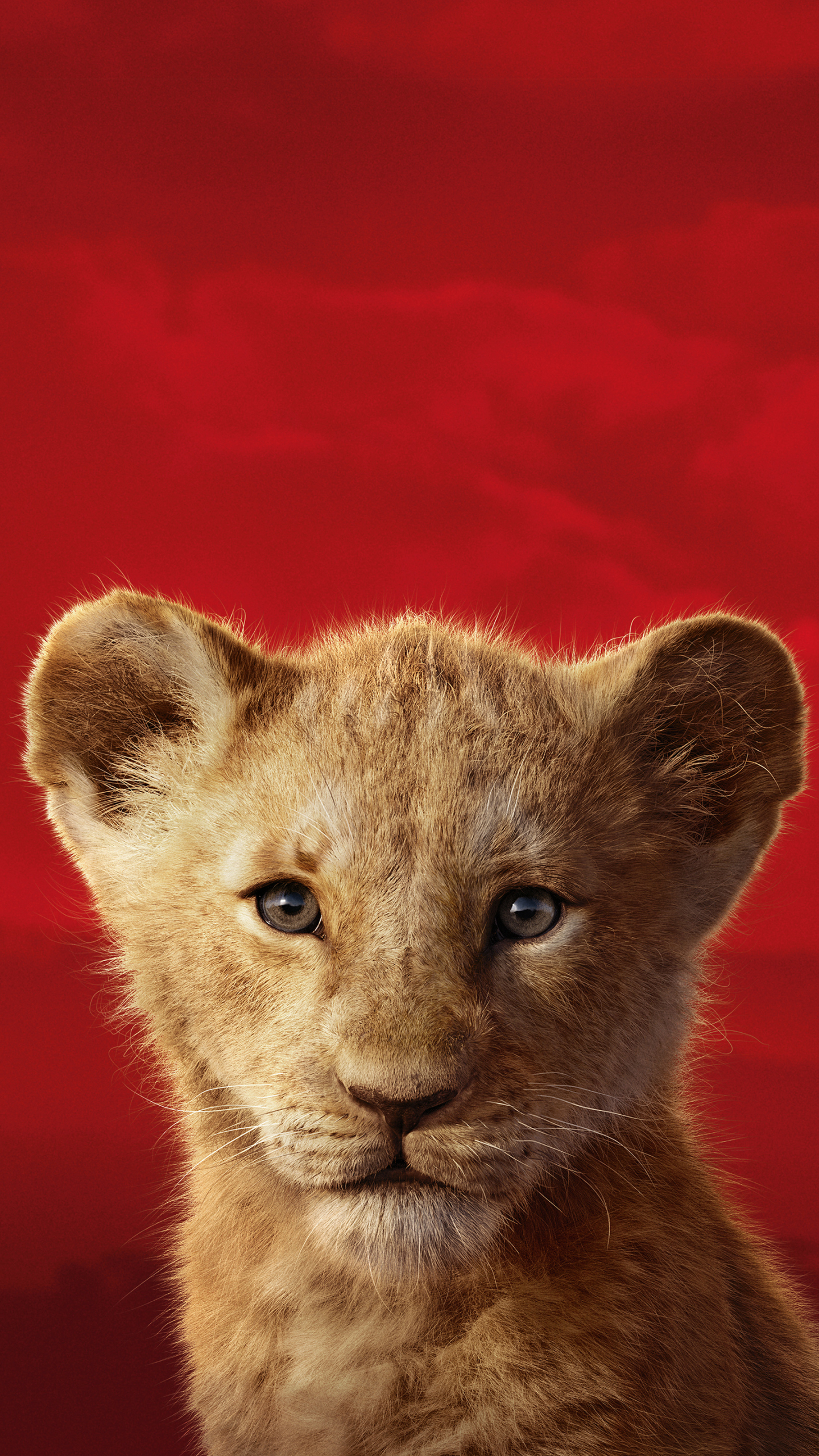 Simba Phone Wallpapers - Wallpaper Cave