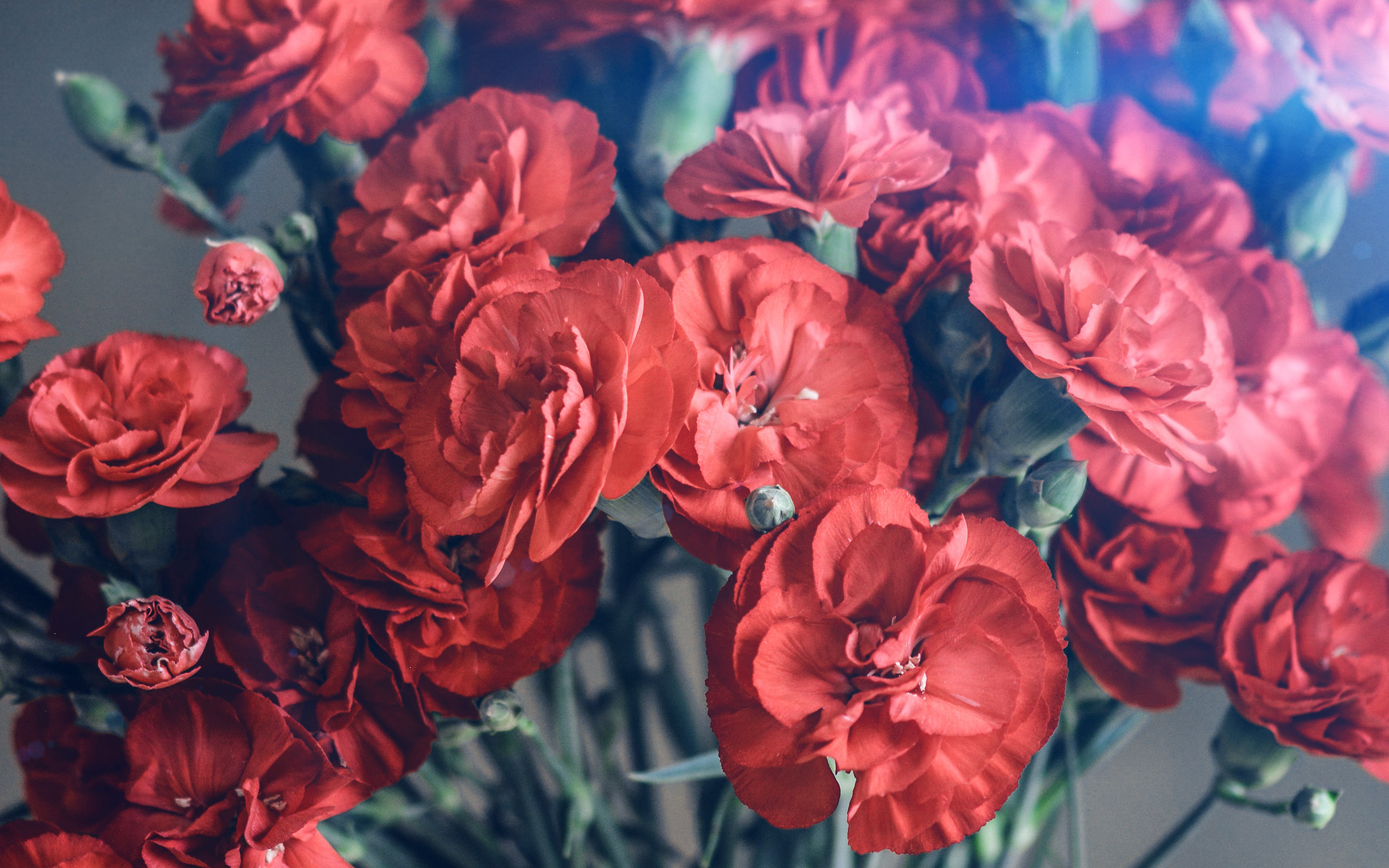 Spring Red Wallpapers - Wallpaper Cave