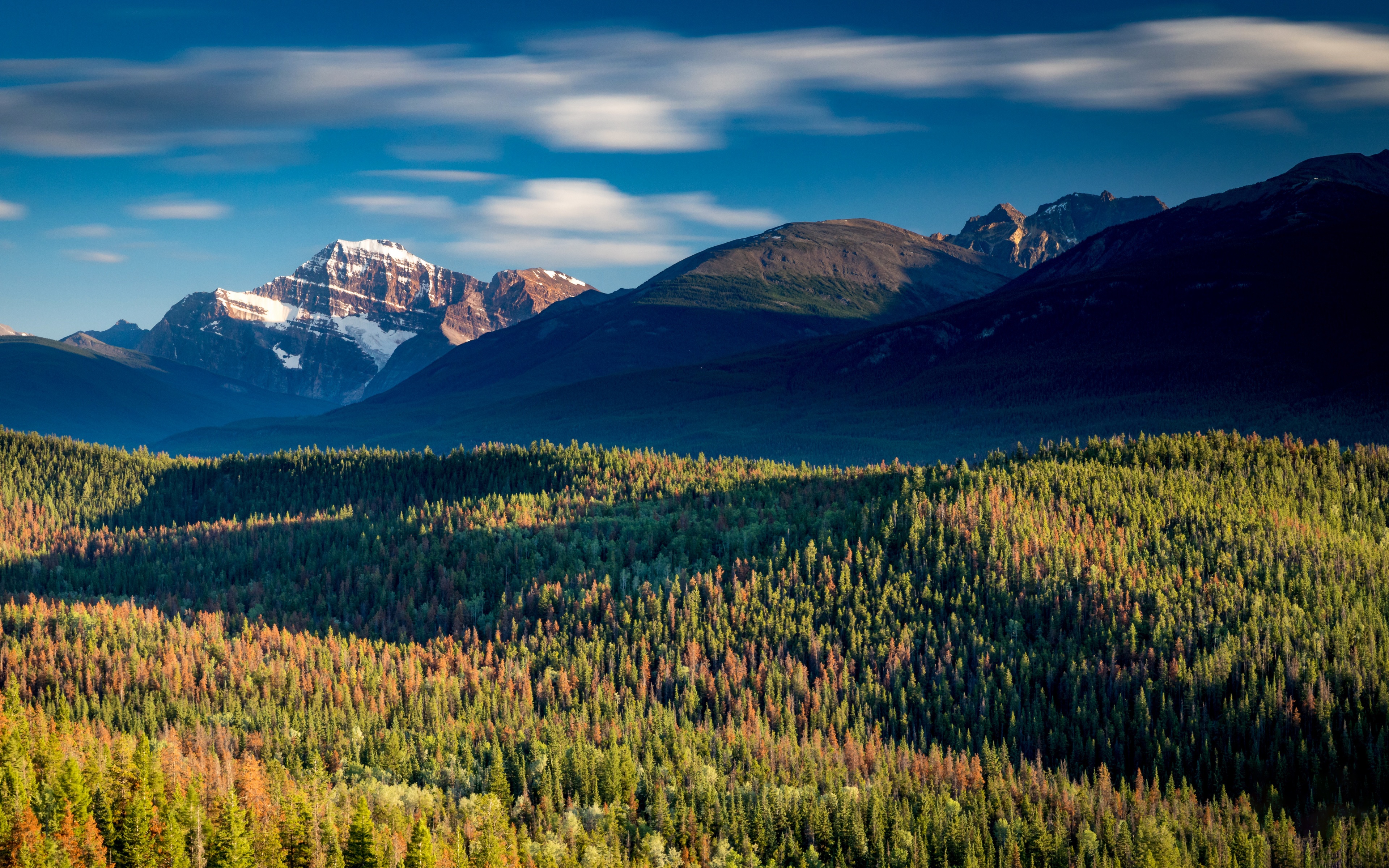 Canada Forest Wallpapers - Wallpaper Cave