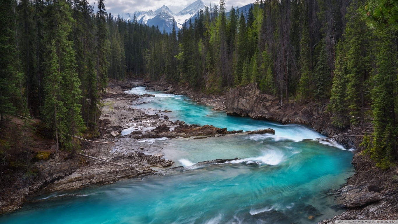 Canada Forest Wallpapers - Wallpaper Cave