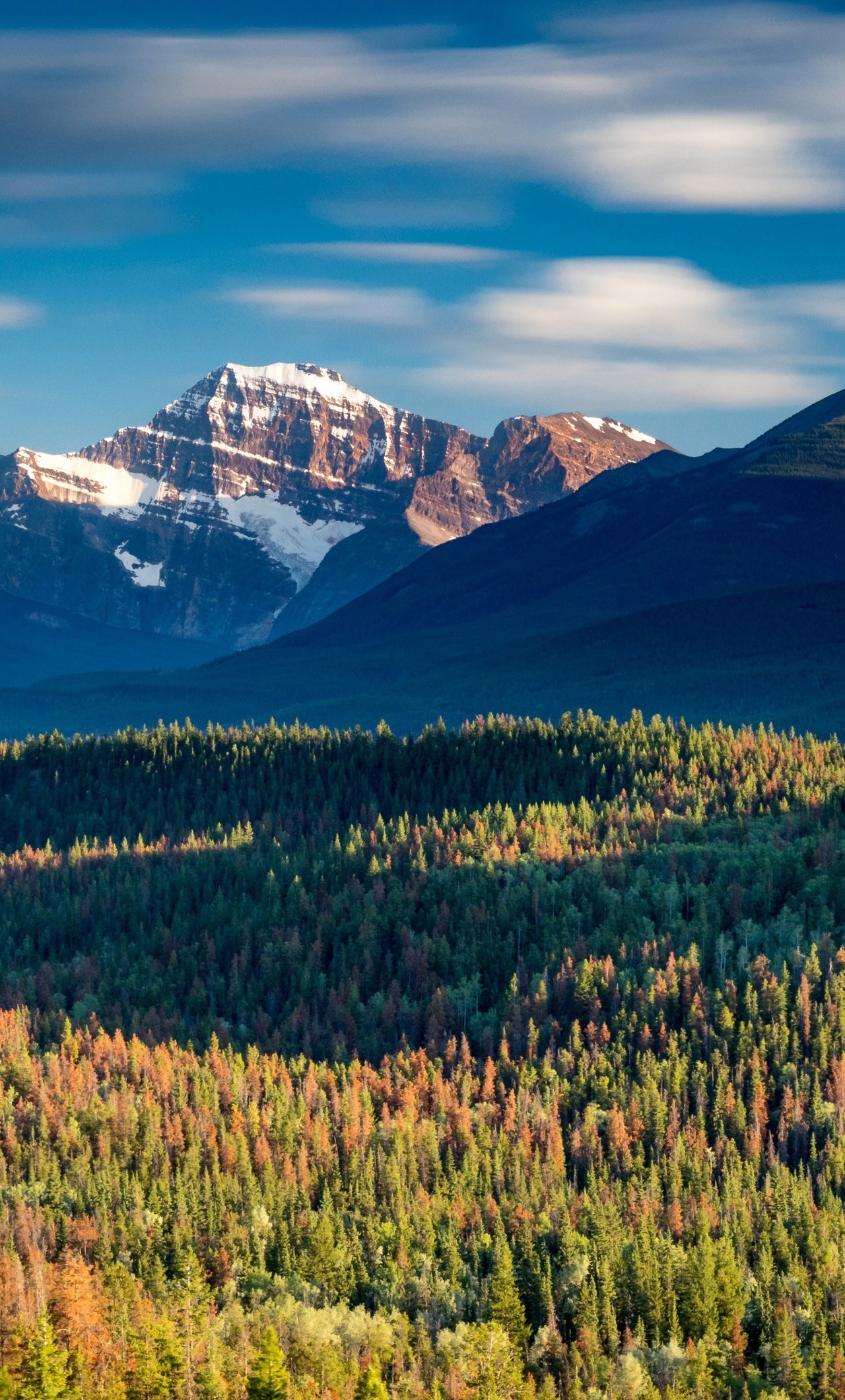 Canada Forest Wallpapers - Wallpaper Cave