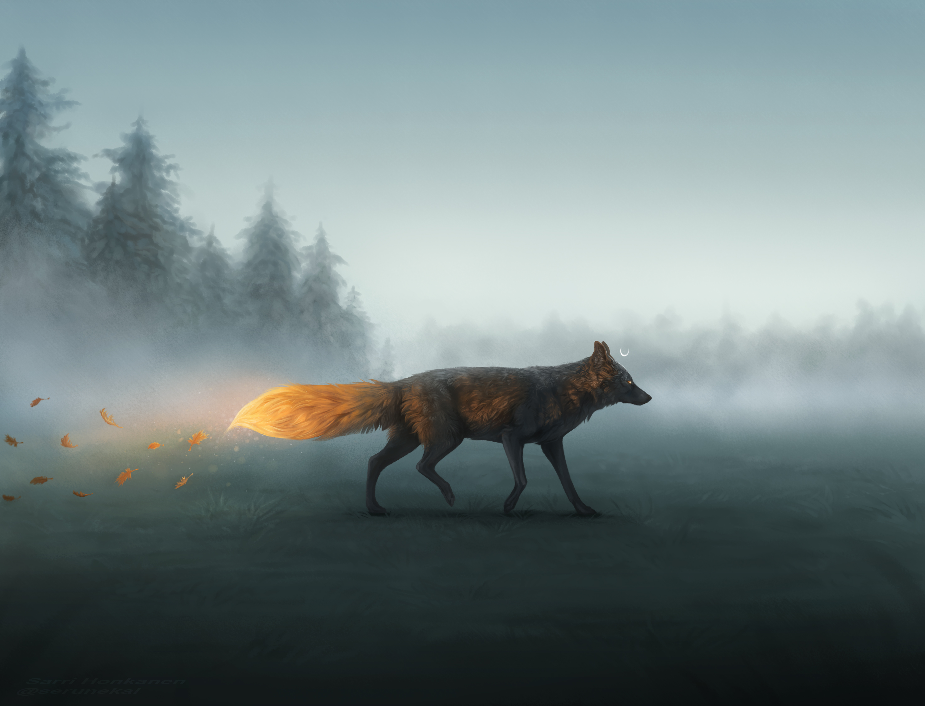 Cross Fox Wallpapers - Wallpaper Cave