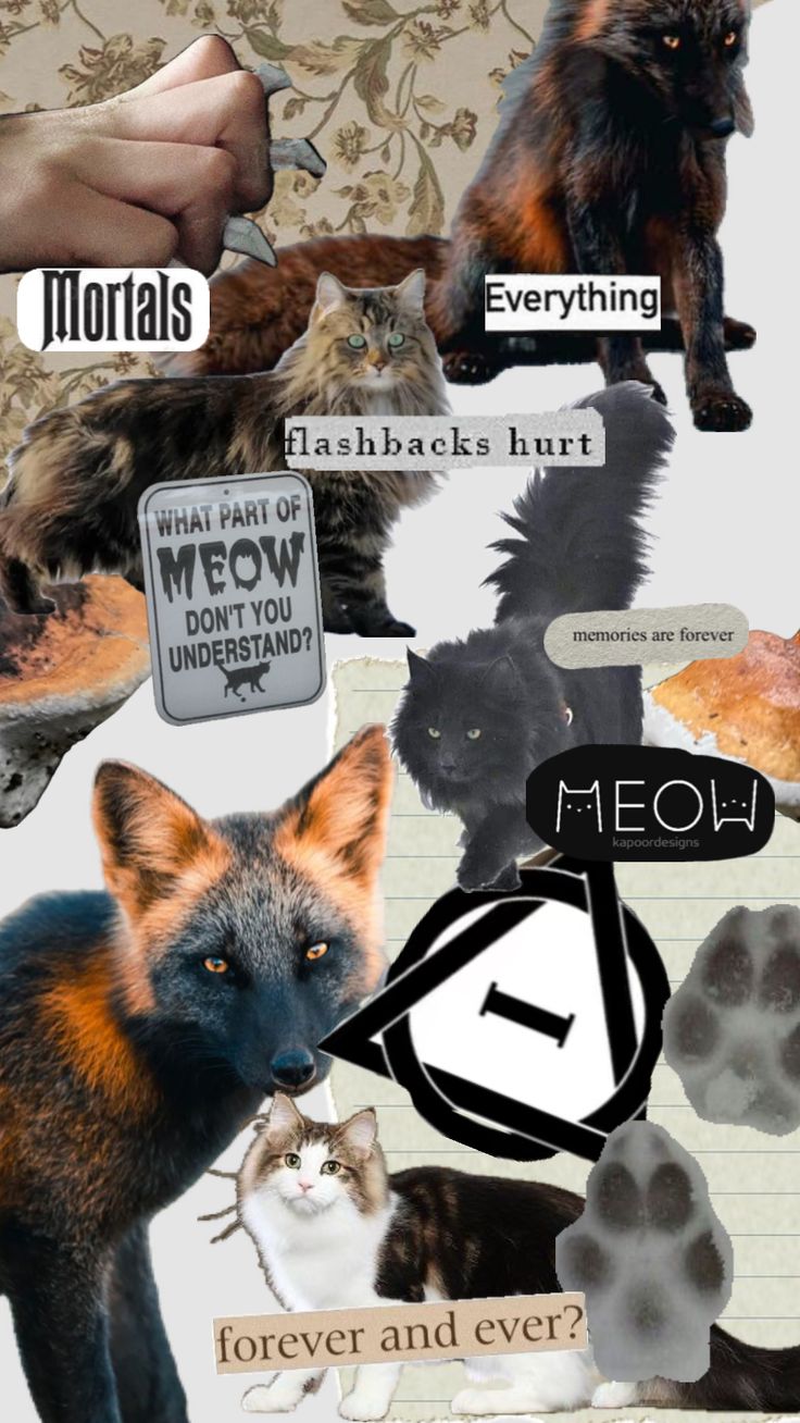 Cross Fox Wallpapers - Wallpaper Cave