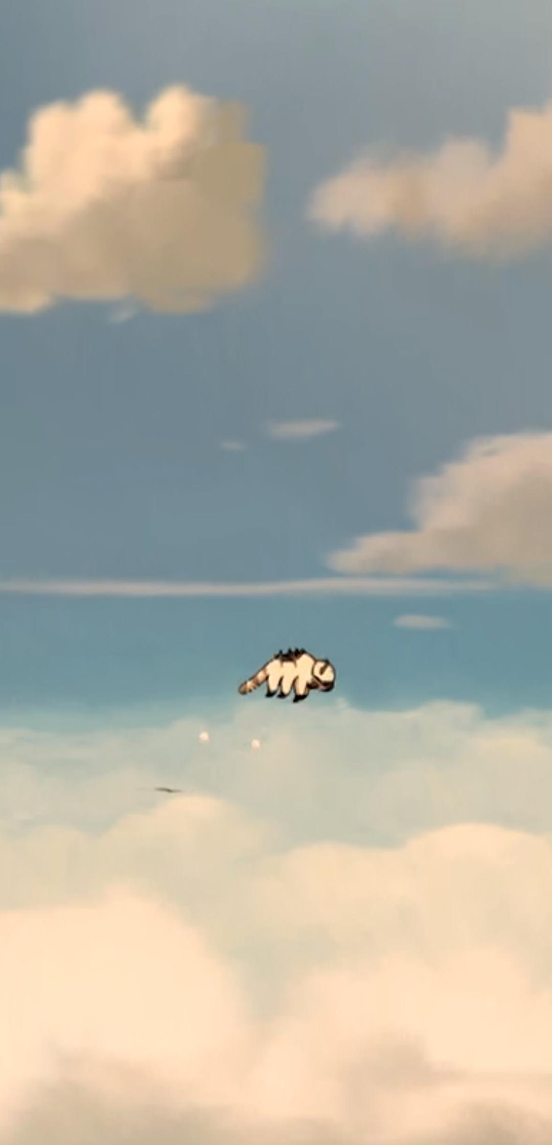 Appa Wallpapers - Wallpaper Cave