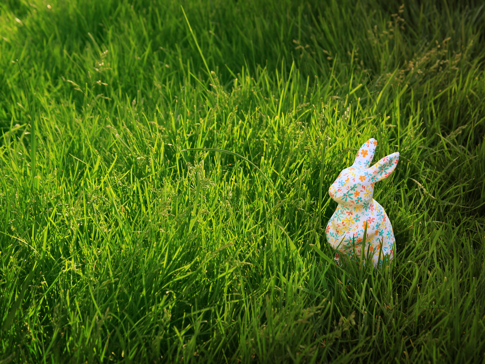 Easter Nature Wallpapers - Wallpaper Cave