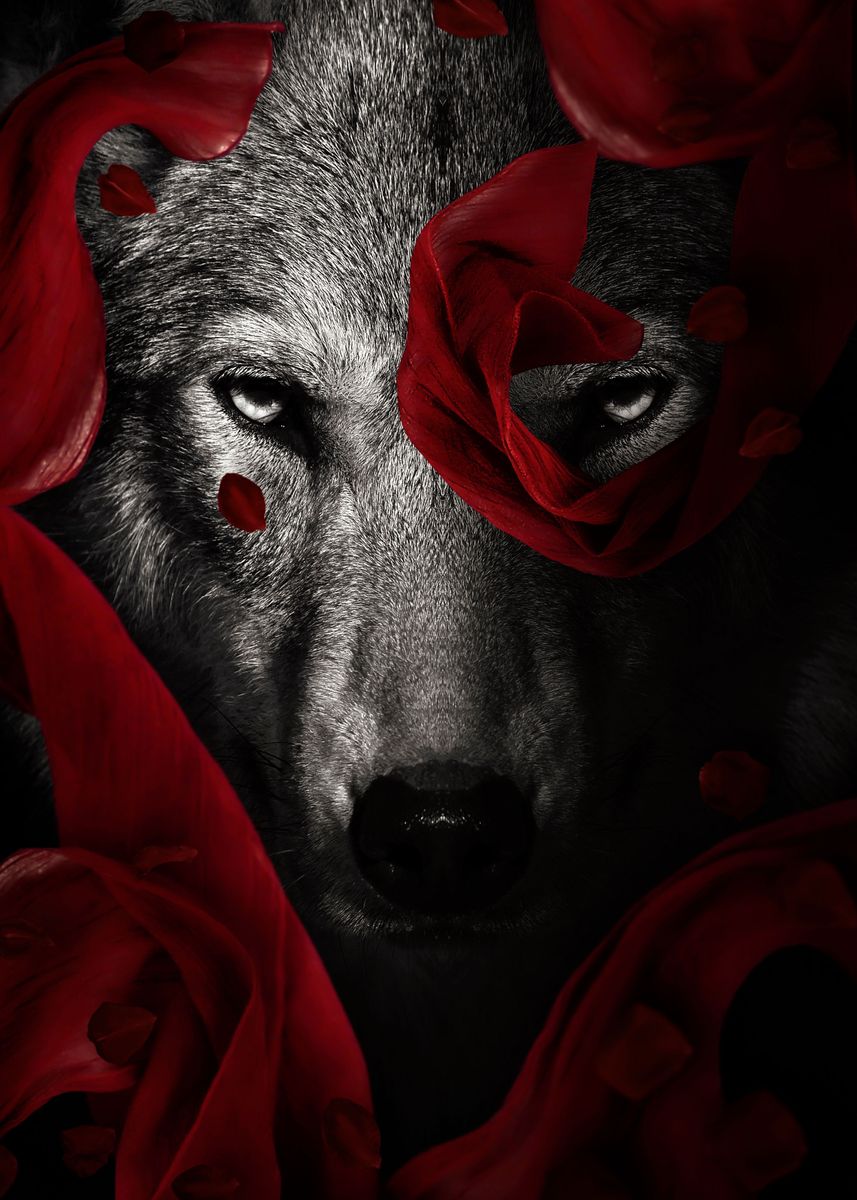 Yorkshire Rose Wolf Wallpaper