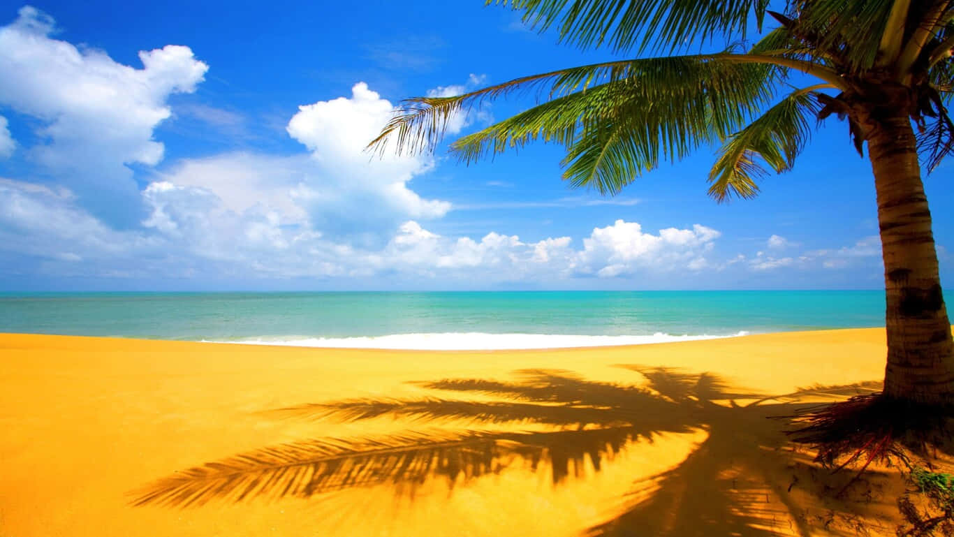 Beach Day Wallpapers - Wallpaper Cave