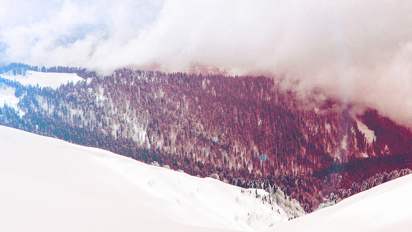 Red Winter Desktop Wallpapers - Wallpaper Cave