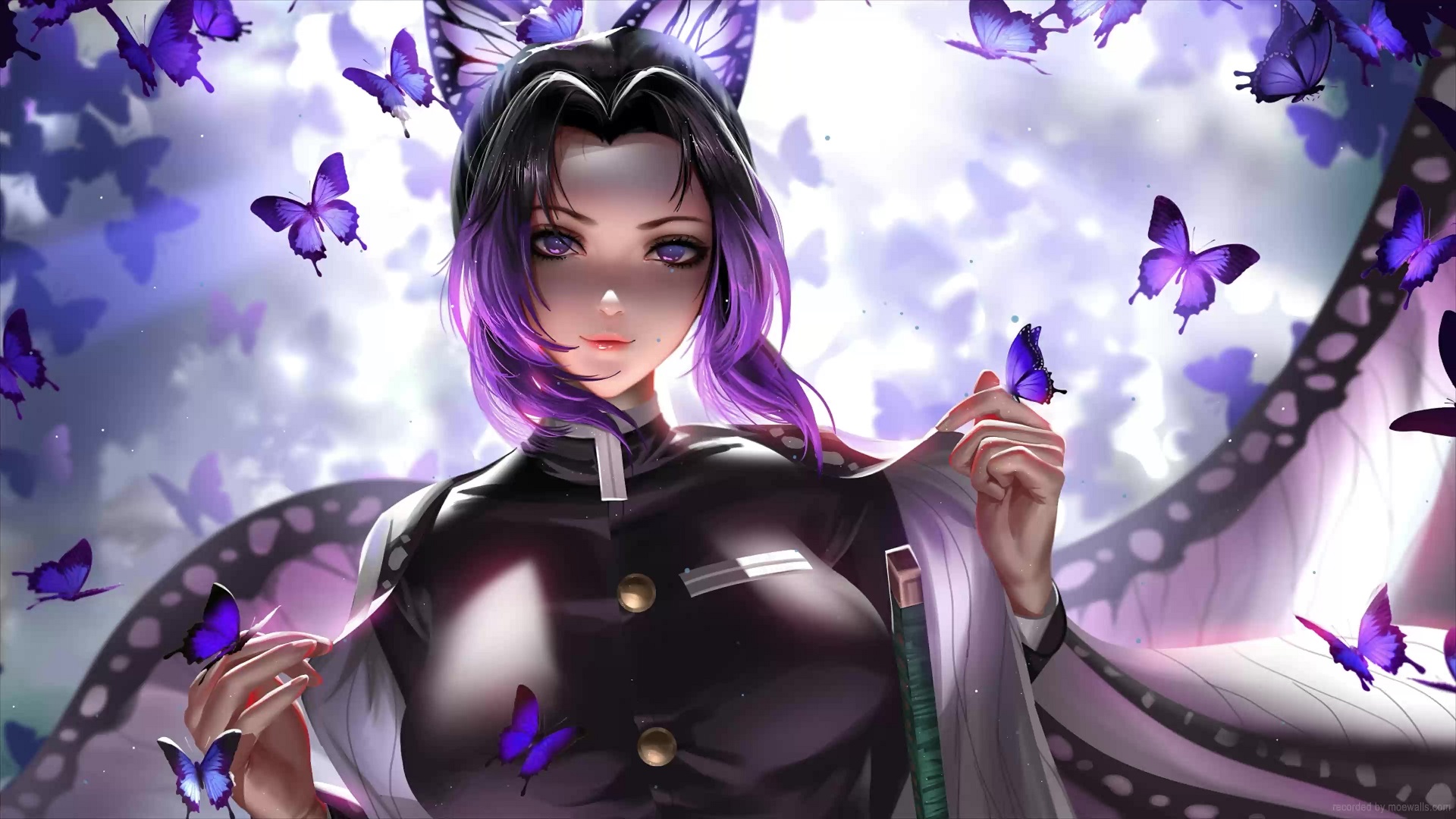 Butterfly Hashira Wallpapers - Wallpaper Cave