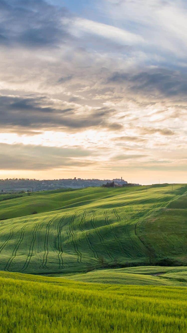 iPhone Collection Wallpapers - Wallpaper Cave