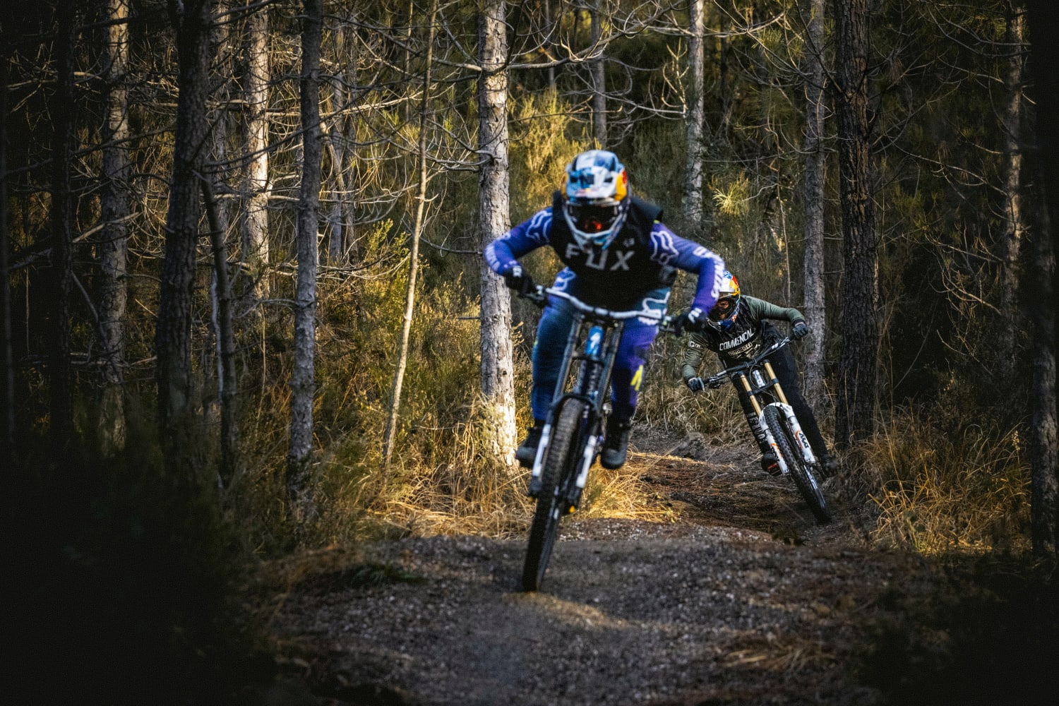 Loïc Bruni Wallpapers - Wallpaper Cave