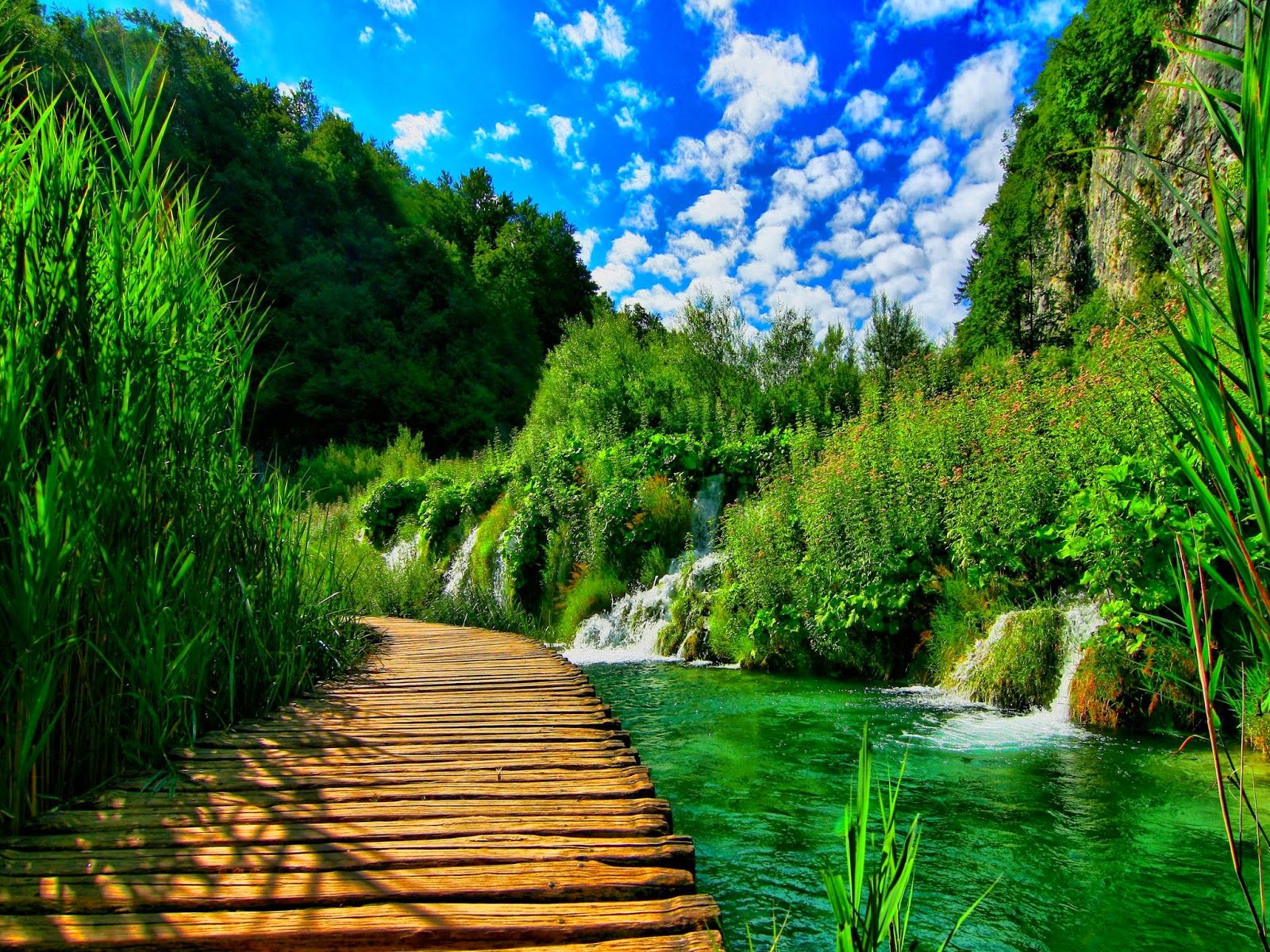 Green Nature Desktop Wallpapers - Wallpaper Cave