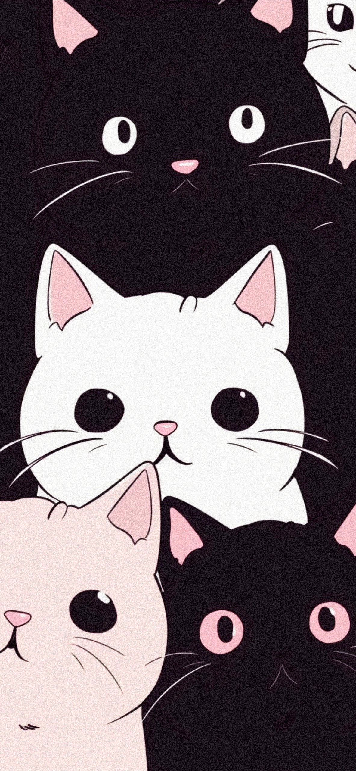 Funny Cat Wallpapers - Wallpaper Cave