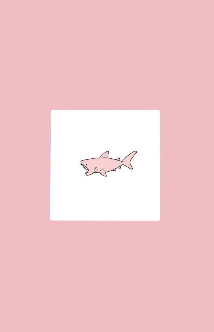 Pink Shark Wallpapers - Wallpaper Cave