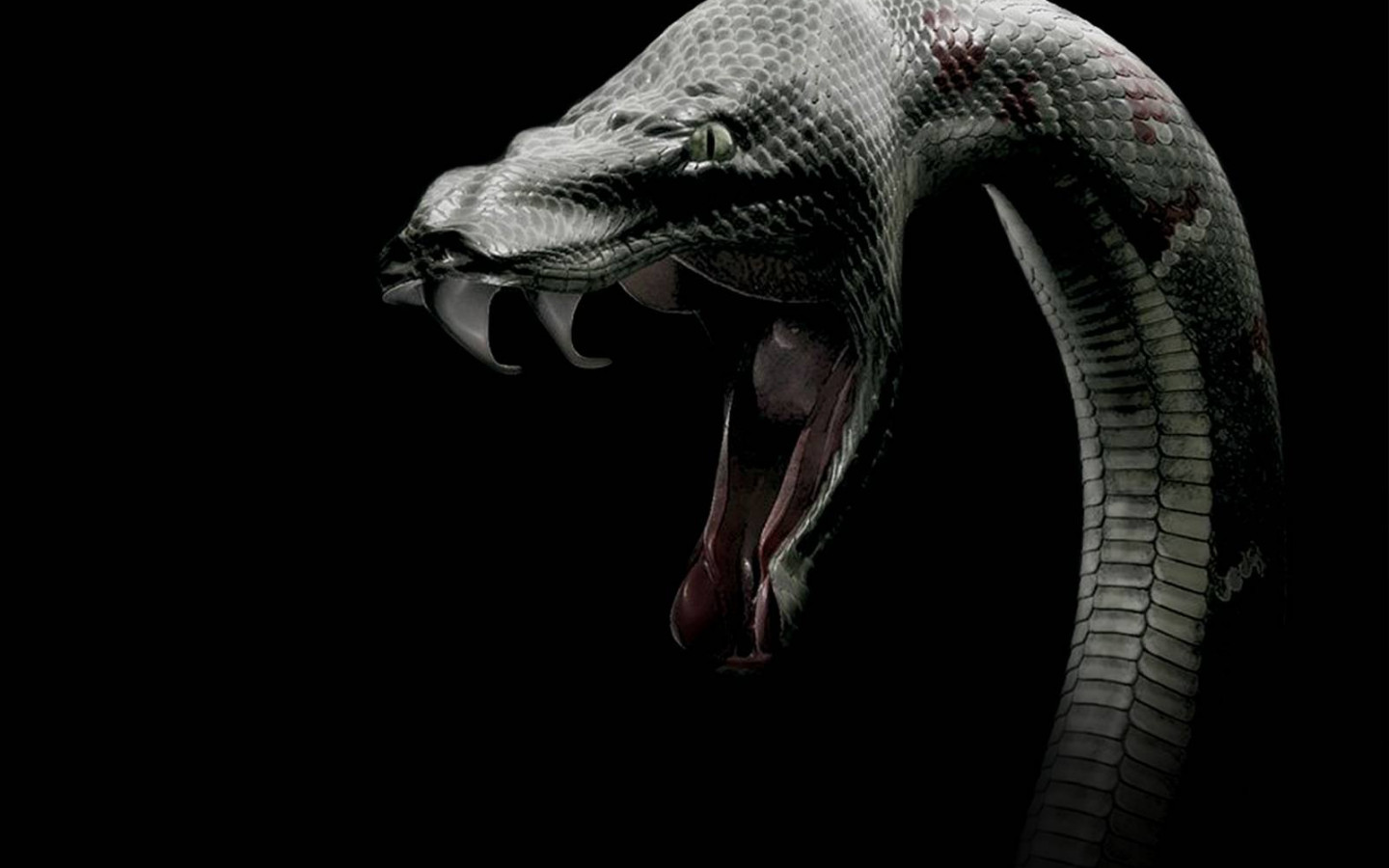 Snake PC Wallpapers - Wallpaper Cave