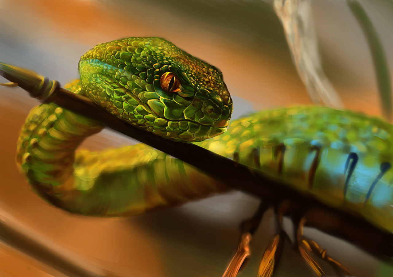 Snake PC Wallpapers - Wallpaper Cave
