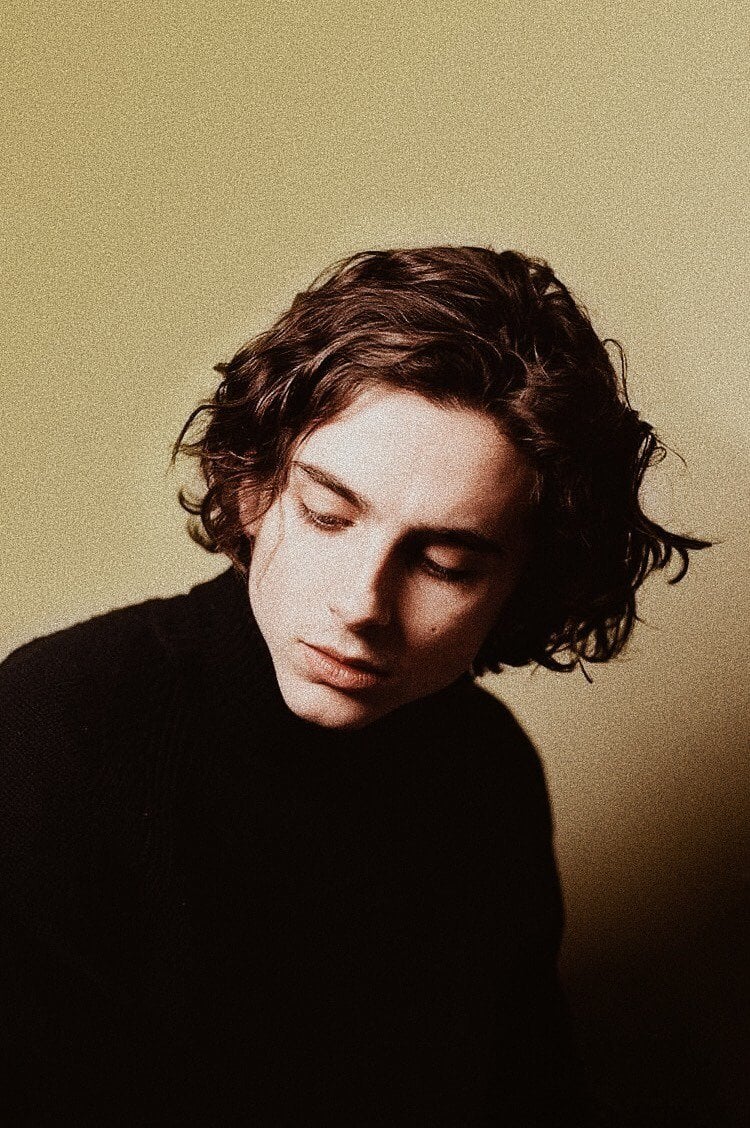 Timothee Chalamet iPhone Wallpapers - Wallpaper Cave