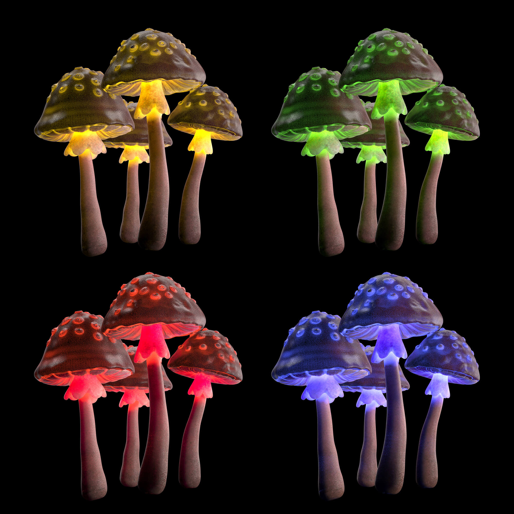 Glowing Mushroom Wallpapers - Wallpaper Cave