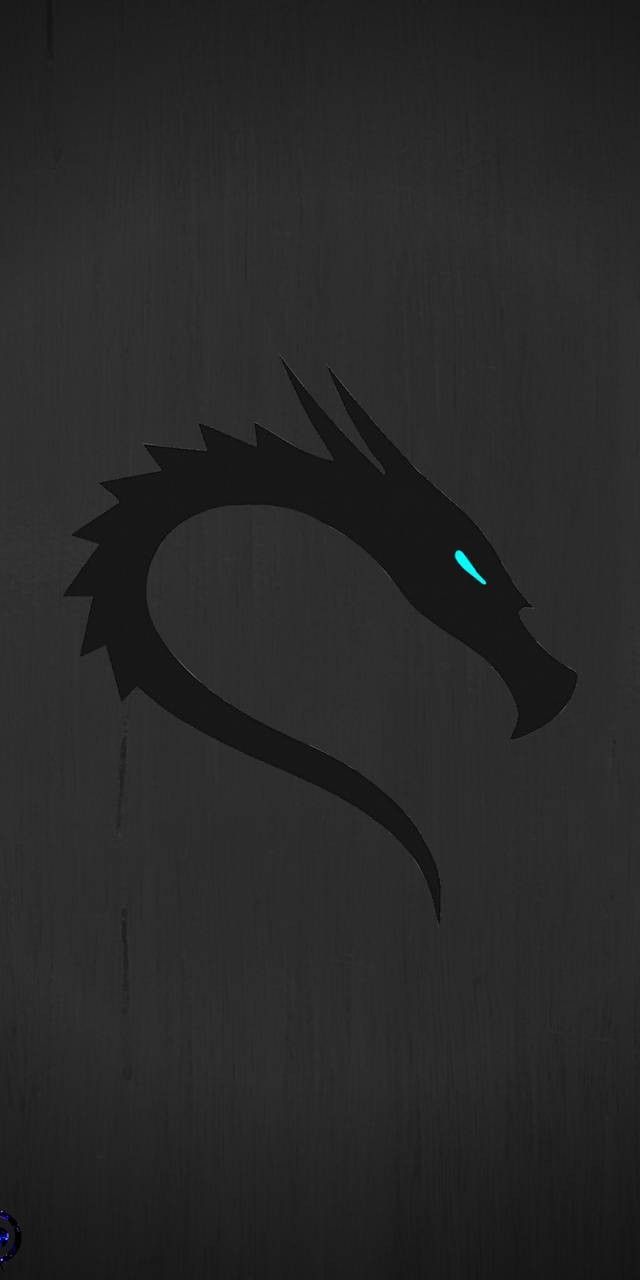 Kali Linux iPhone Wallpapers - Wallpaper Cave