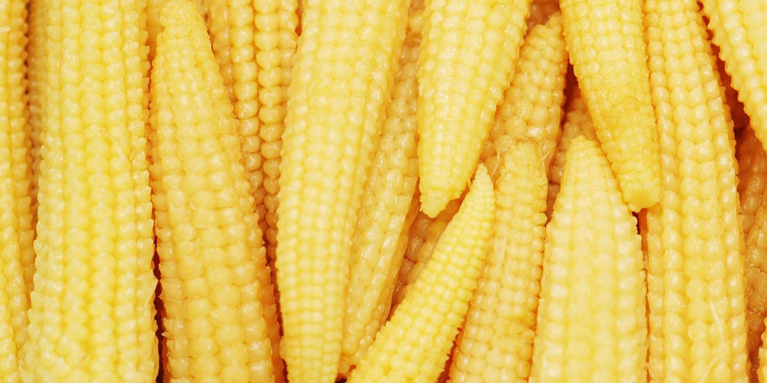 Baby Corn Wallpapers - Wallpaper Cave