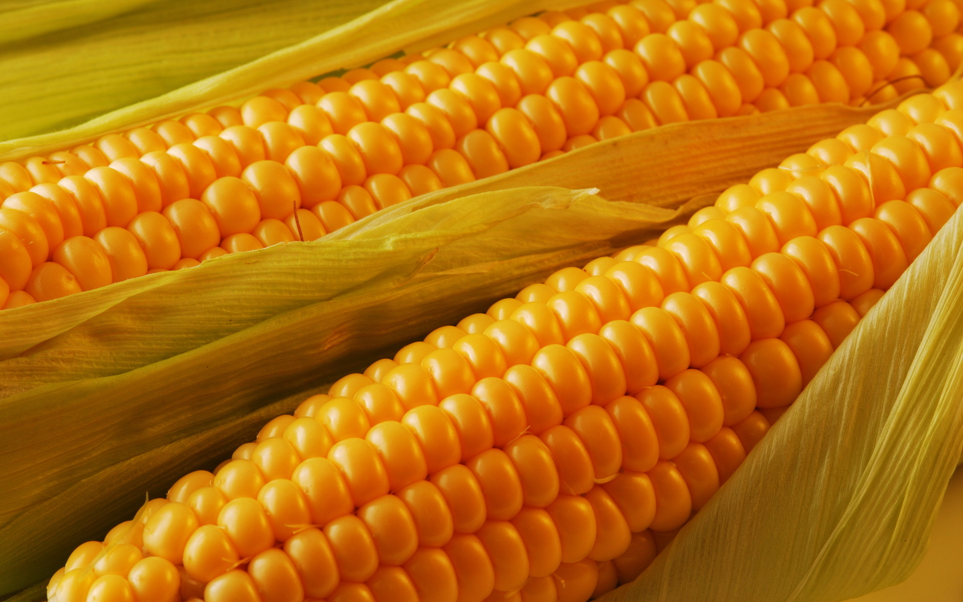 Baby Corn Wallpapers - Wallpaper Cave