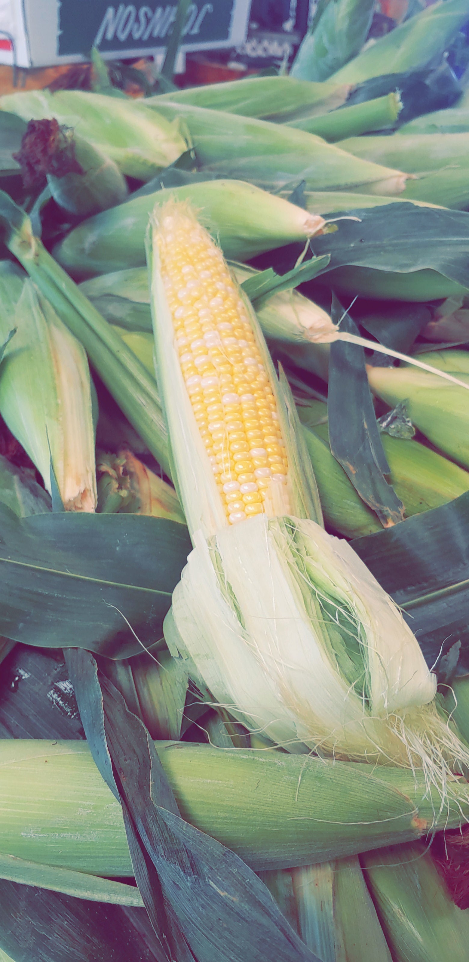 Baby Corn Wallpapers - Wallpaper Cave