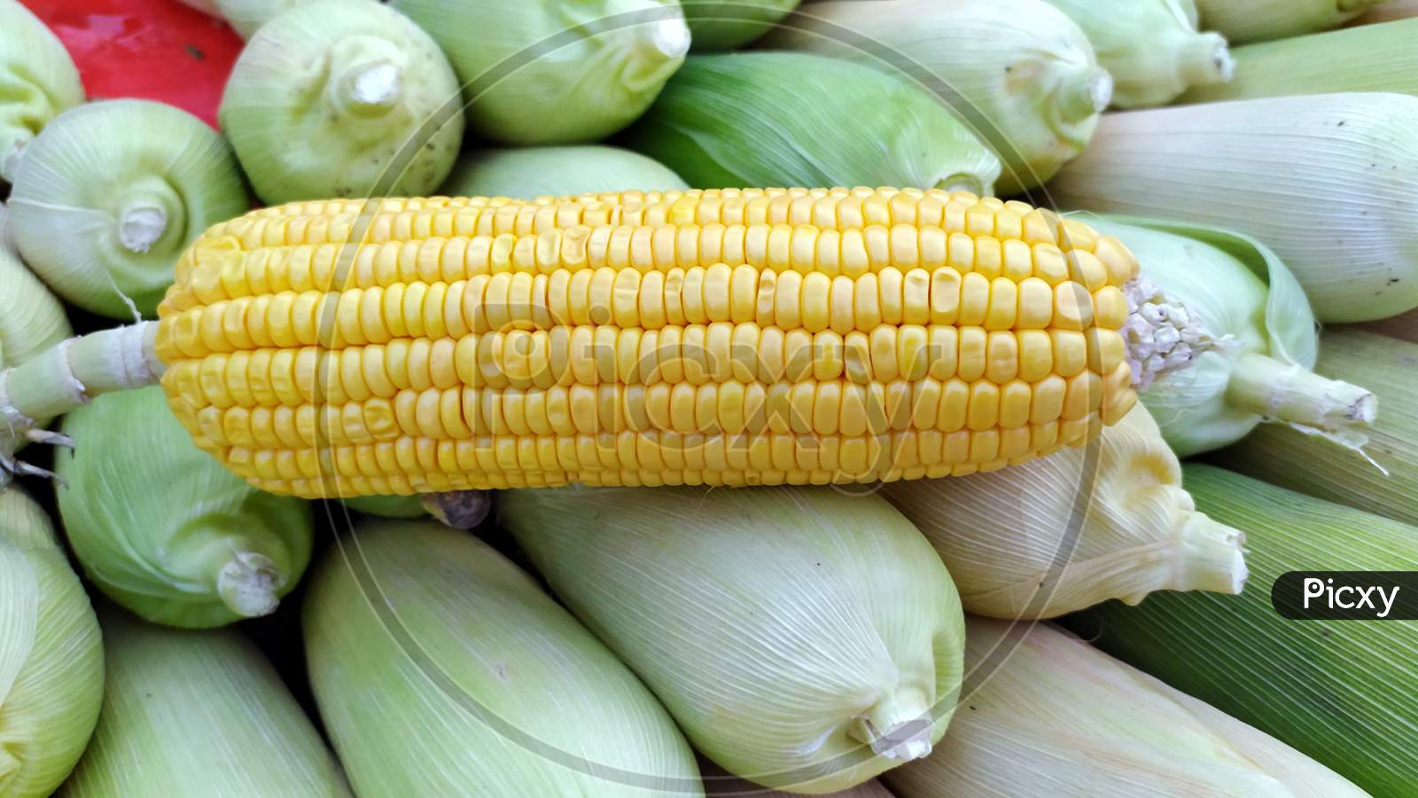 Baby Corn Wallpapers - Wallpaper Cave