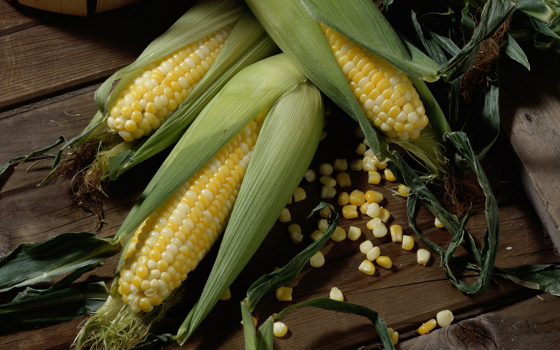 Baby Corn Wallpapers - Wallpaper Cave