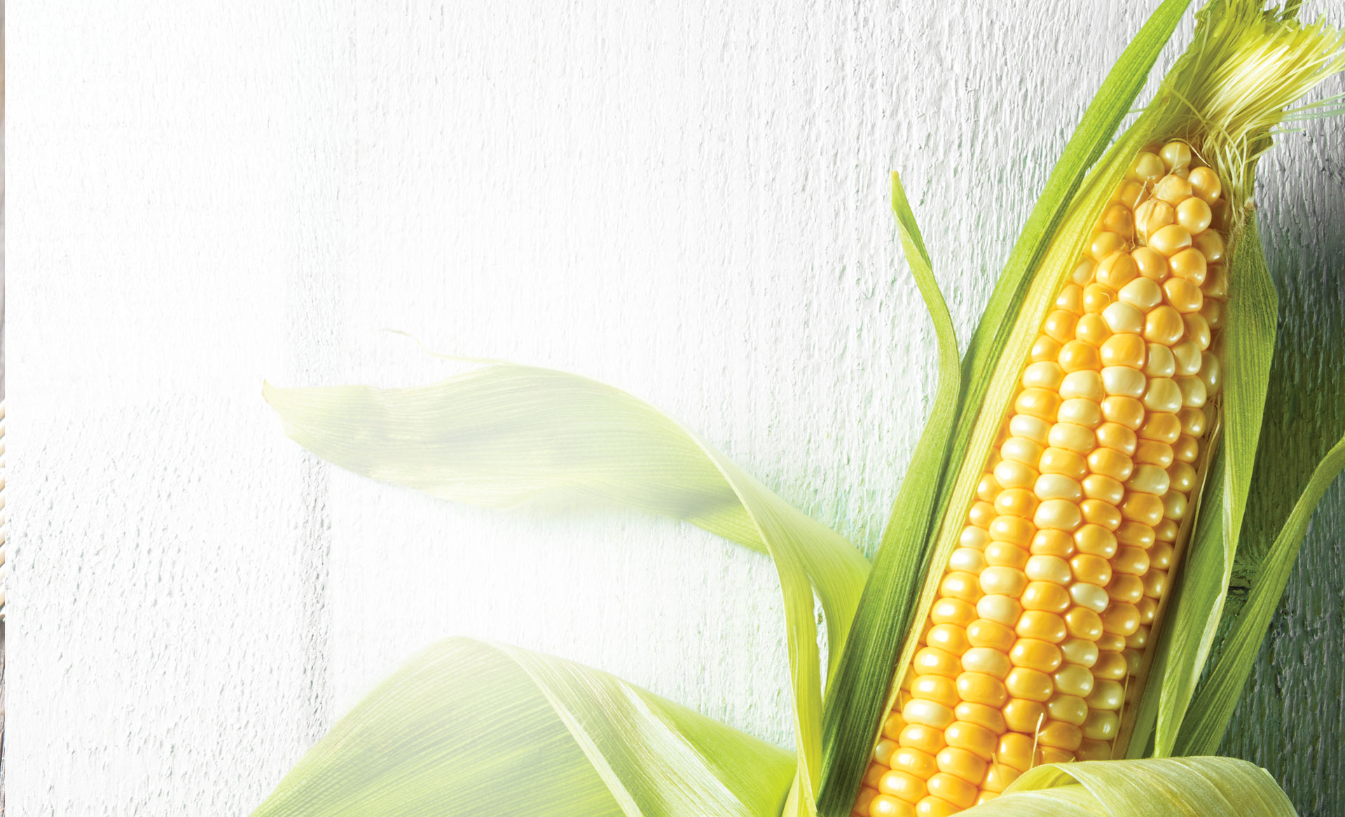 Baby Corn Wallpapers - Wallpaper Cave