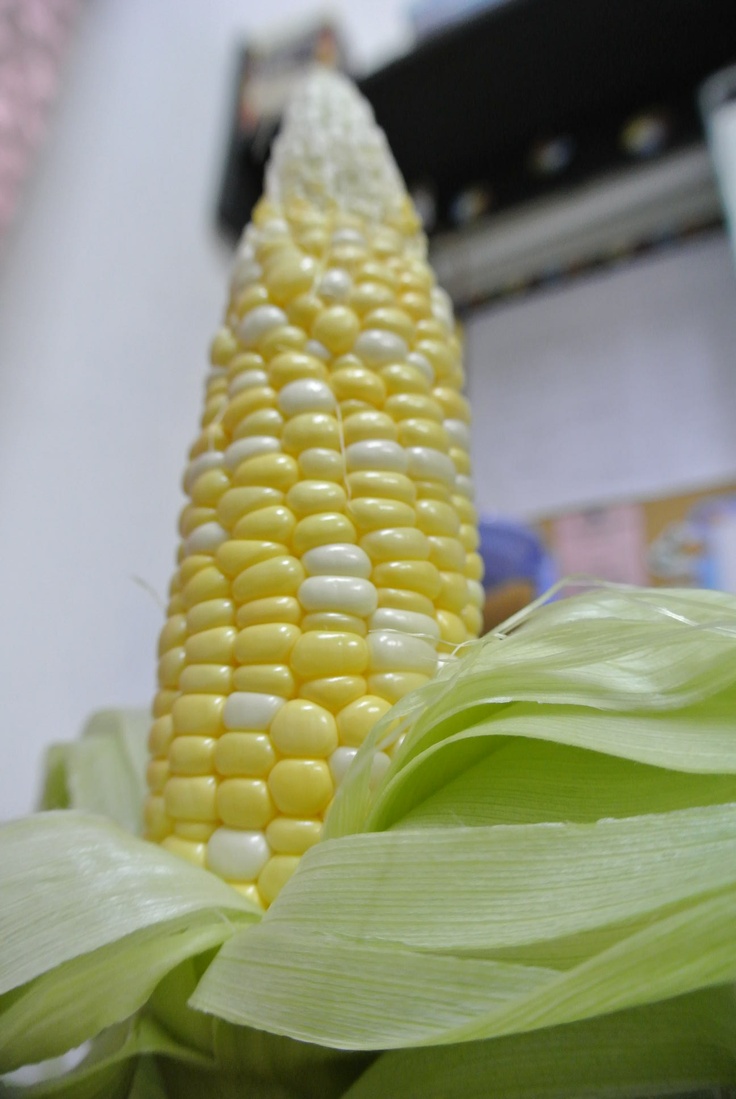 Baby Corn Wallpapers - Wallpaper Cave