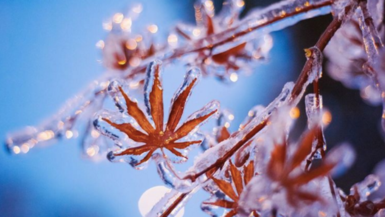 Ice Storm Wallpapers - Wallpaper Cave