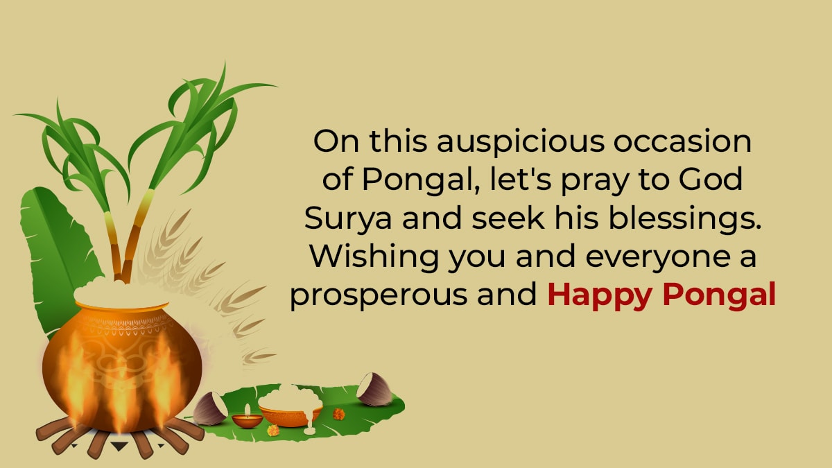 Pongal 2024 Wallpapers - Wallpaper Cave