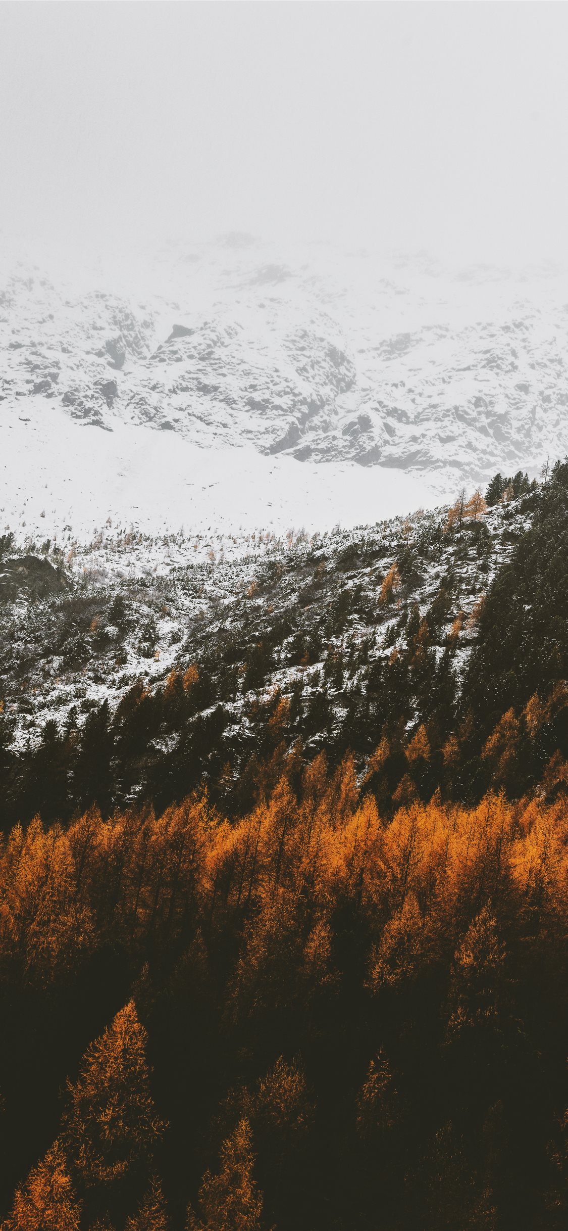 iPhone Orange Winter Wallpapers - Wallpaper Cave