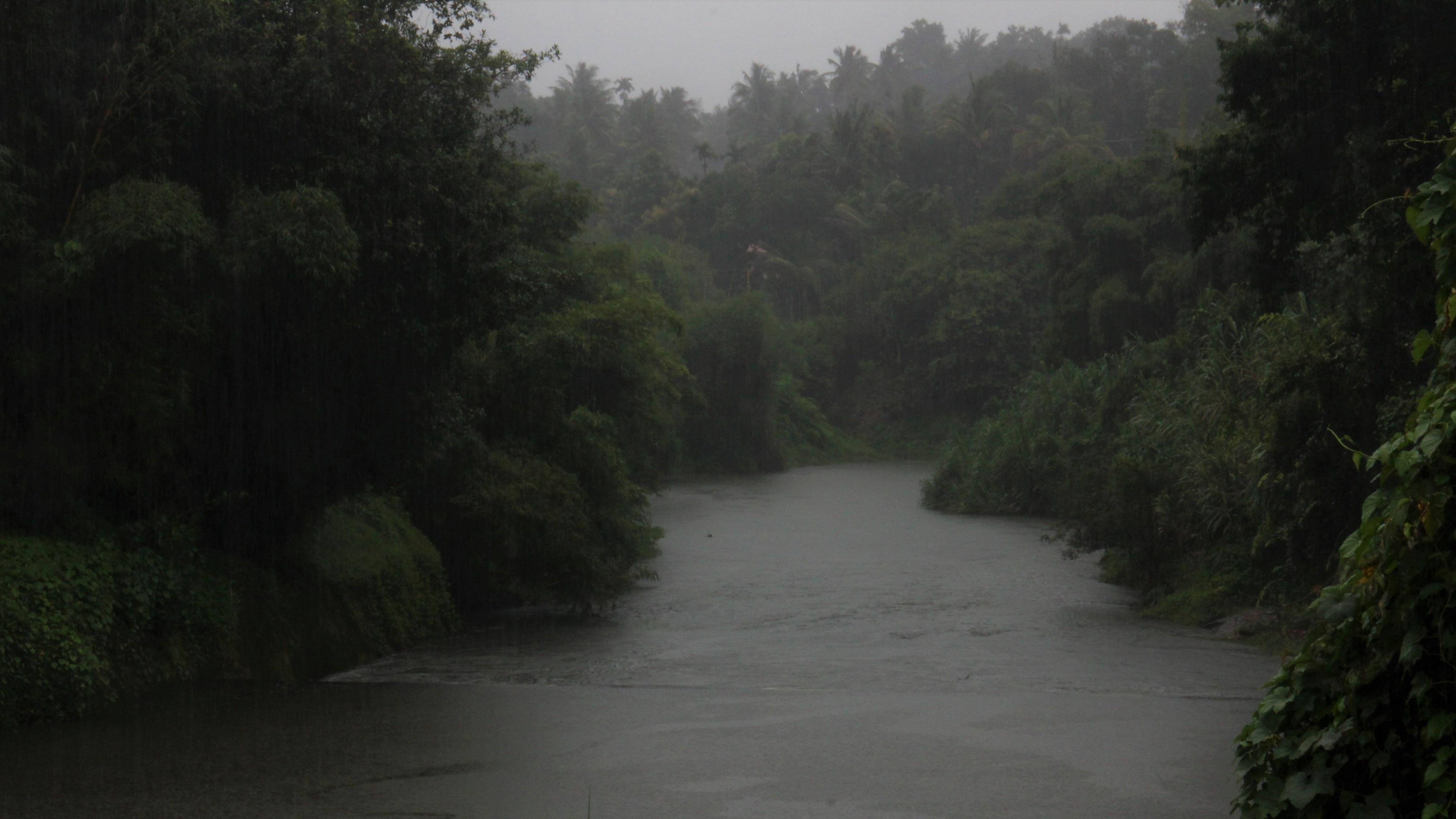 Rain Nature 4k Wallpapers - Wallpaper Cave